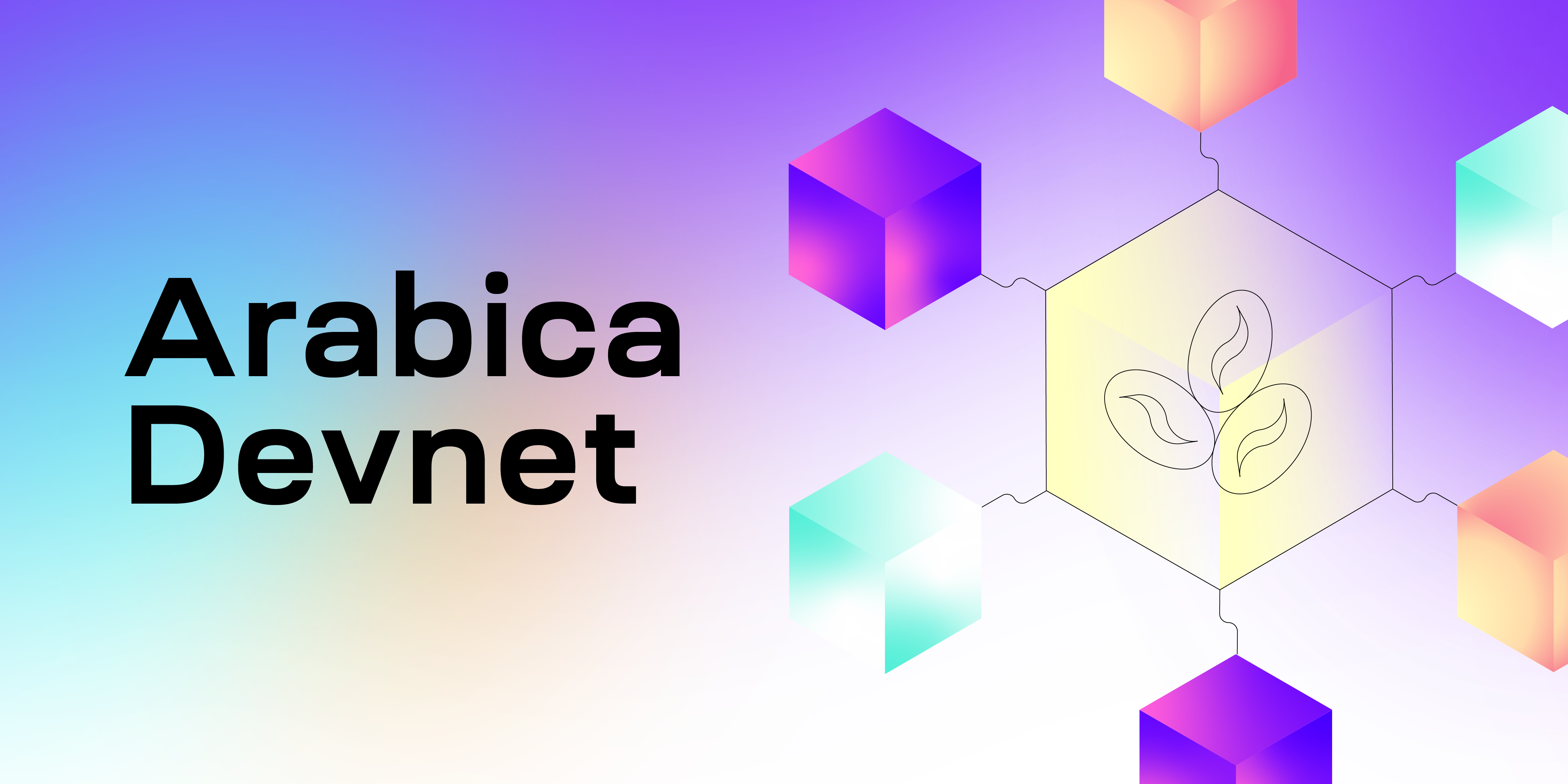 Arabica devnet